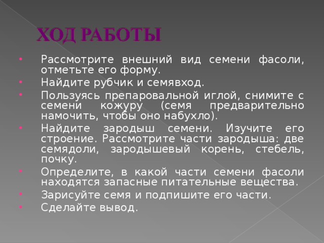Презентация к уроку "Строение семени"